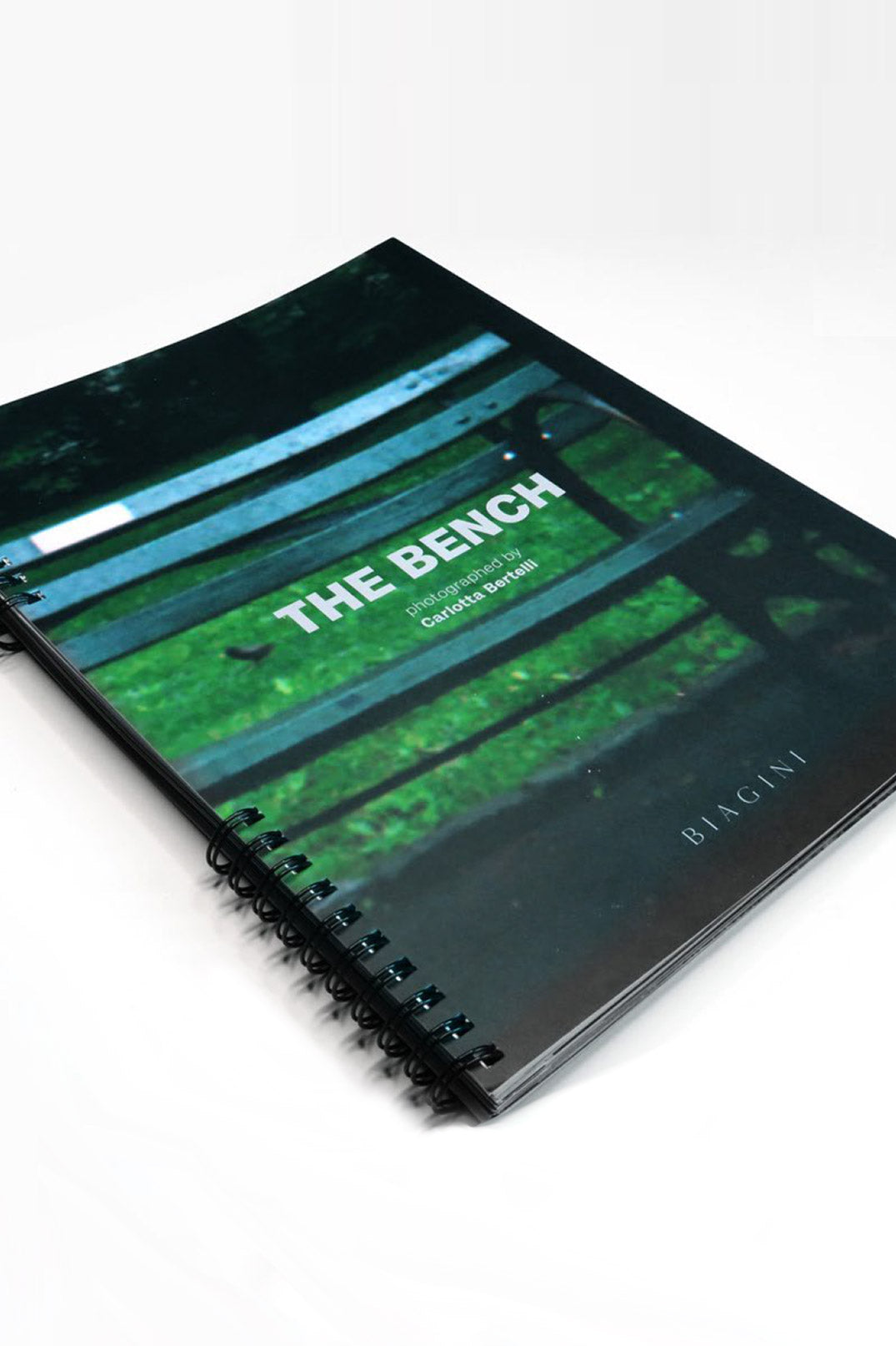 The Bench book – Biagini 1968